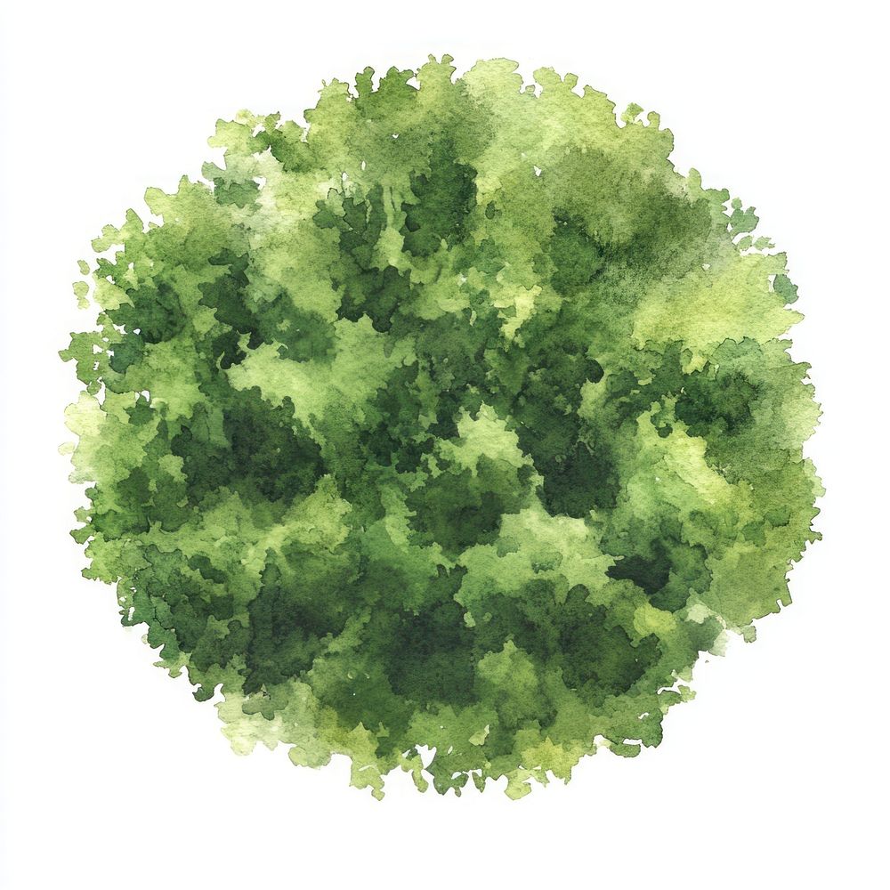 Green tree hand-painted illustration watercolor. | Free Photo ...