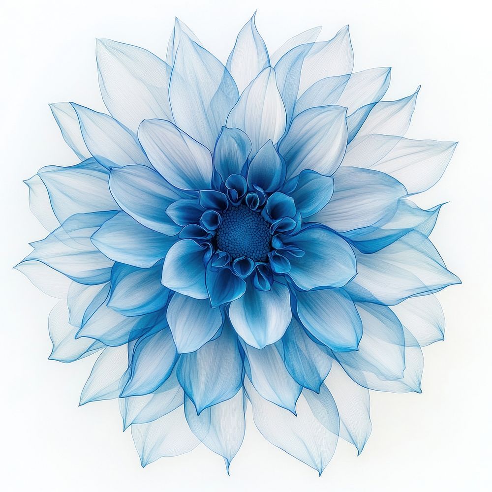 Delicate blue floral artwork | Free Photo - rawpixel