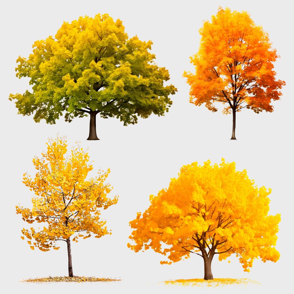 Colorful autumn trees design element | Free PSD - rawpixel
