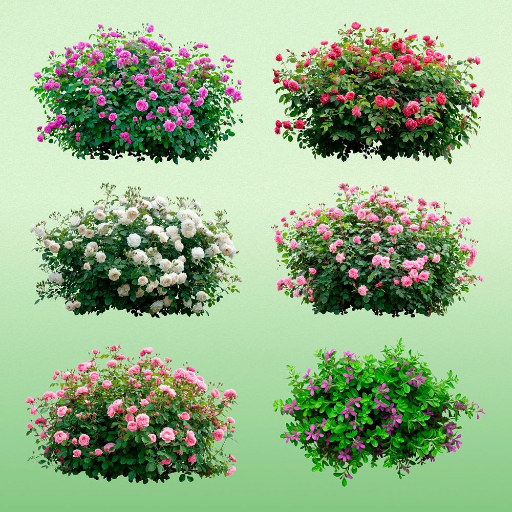 Colorful floral bush design element | Free PSD - rawpixel