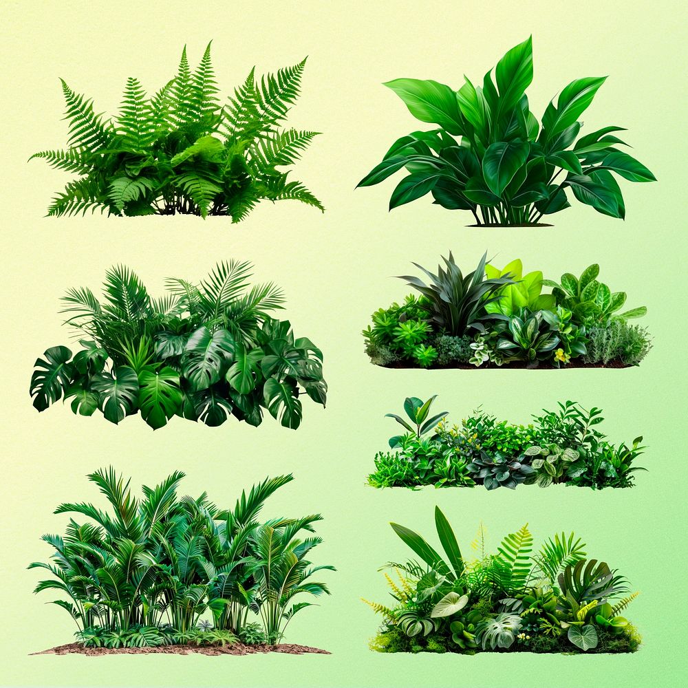 Lush green plant arrangement design | Free PSD - rawpixel