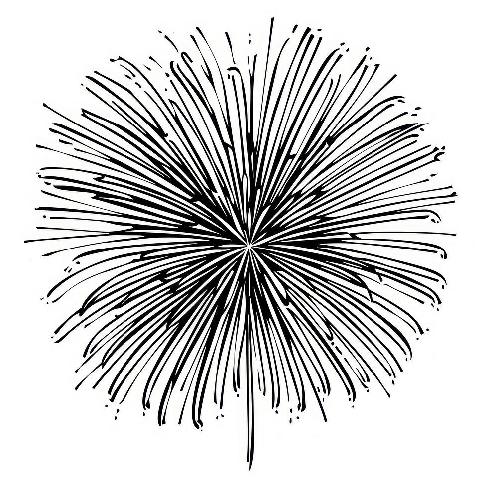 Hand drawn Firework fireworks drawing | Free Photo Illustration - rawpixel