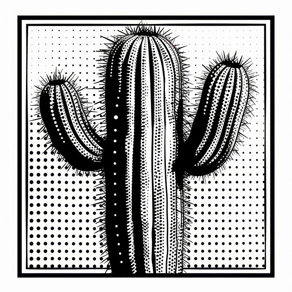 Cactus Polaroid frame cactus plant | Free Photo Illustration - rawpixel