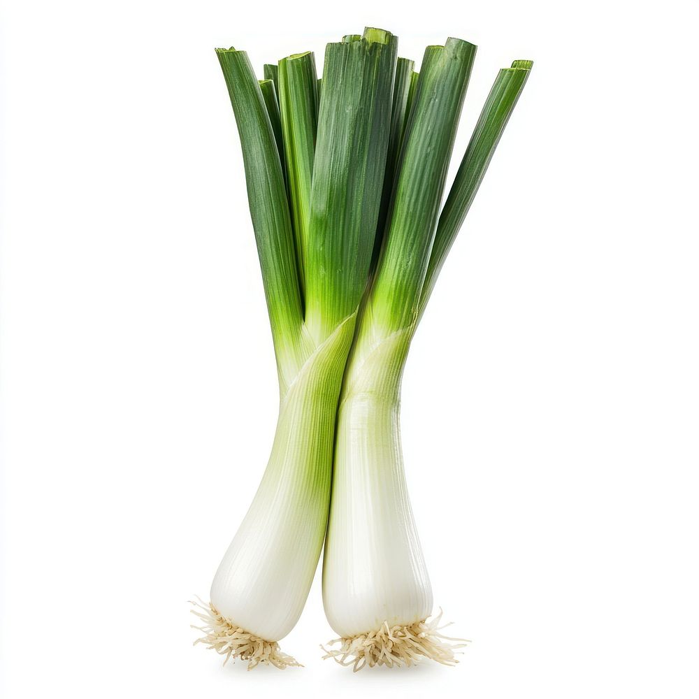 Real fresh Leek vegetable leeks | Free Photo - rawpixel