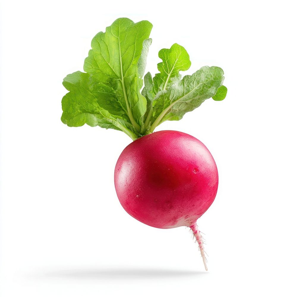 Real fresh radish vegetable produce | Free Photo - rawpixel