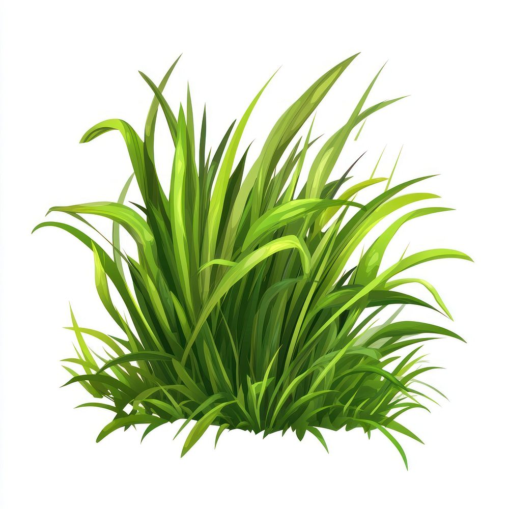 Grass illustration vegetation plant. | Free Photo Illustration - rawpixel
