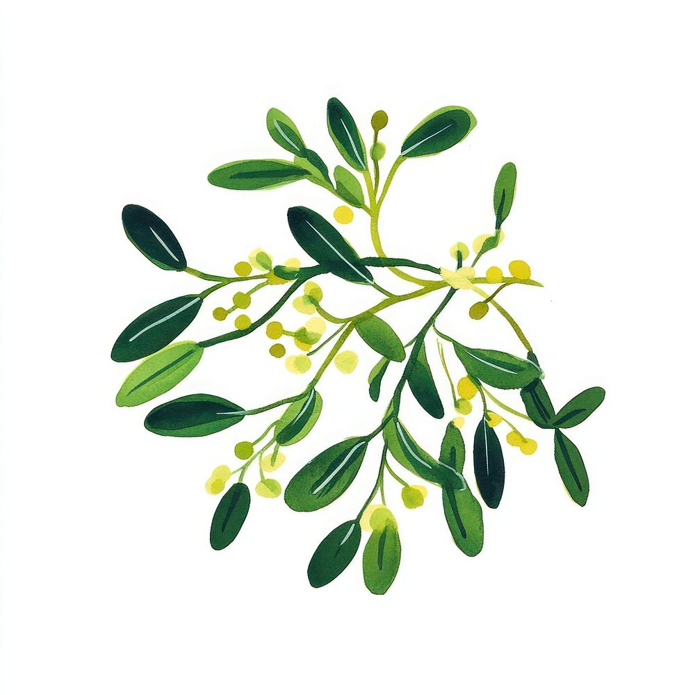 Mistletoe art illustration leaves. | Free Photo Illustration - rawpixel