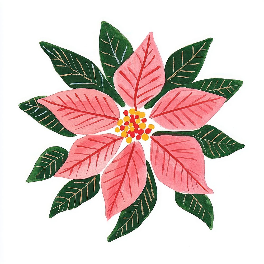 Poinsettia art illustration poinsettia | Free Photo Illustration - rawpixel