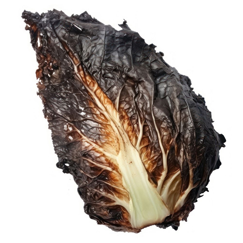 Cabbage burnt vegetable plant food. | Free Photo - rawpixel