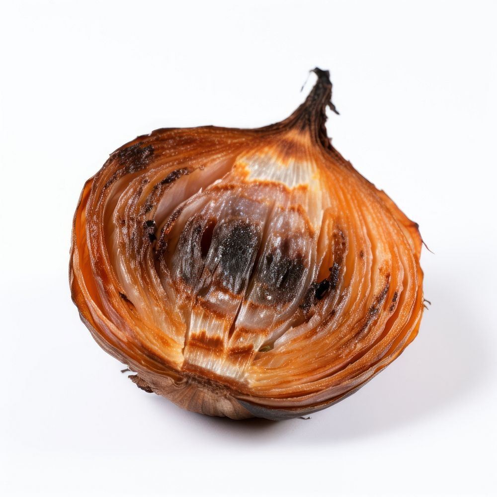 Onion burnt vegetable plant food. | Free Photo - rawpixel
