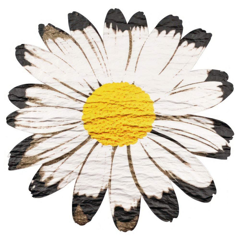 Daisy ripped paper flower petal | Premium Photo Illustration - rawpixel