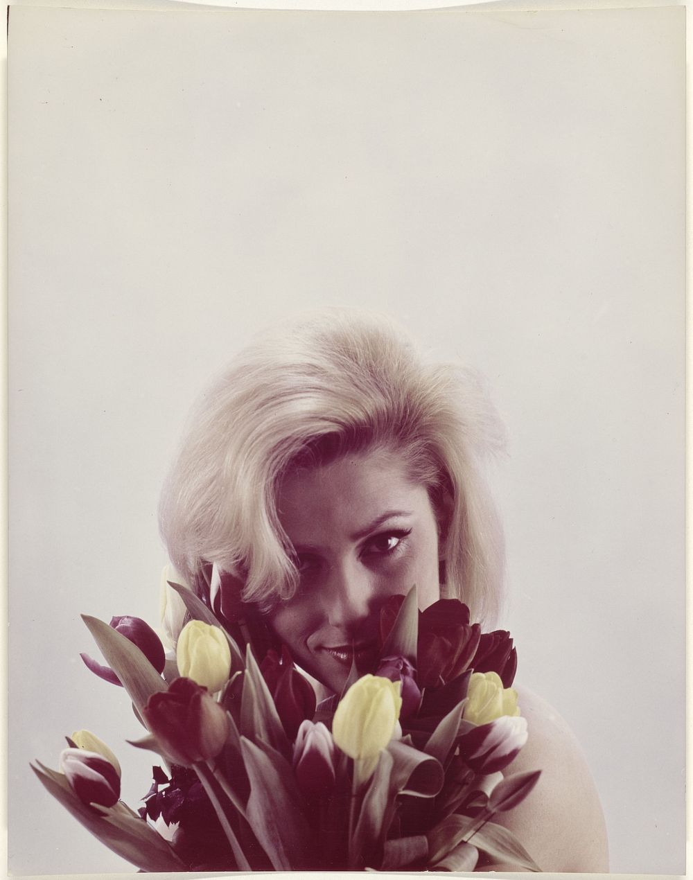 Young+photos Woman Images | Free Photos, PNG Stickers, Wallpapers ...