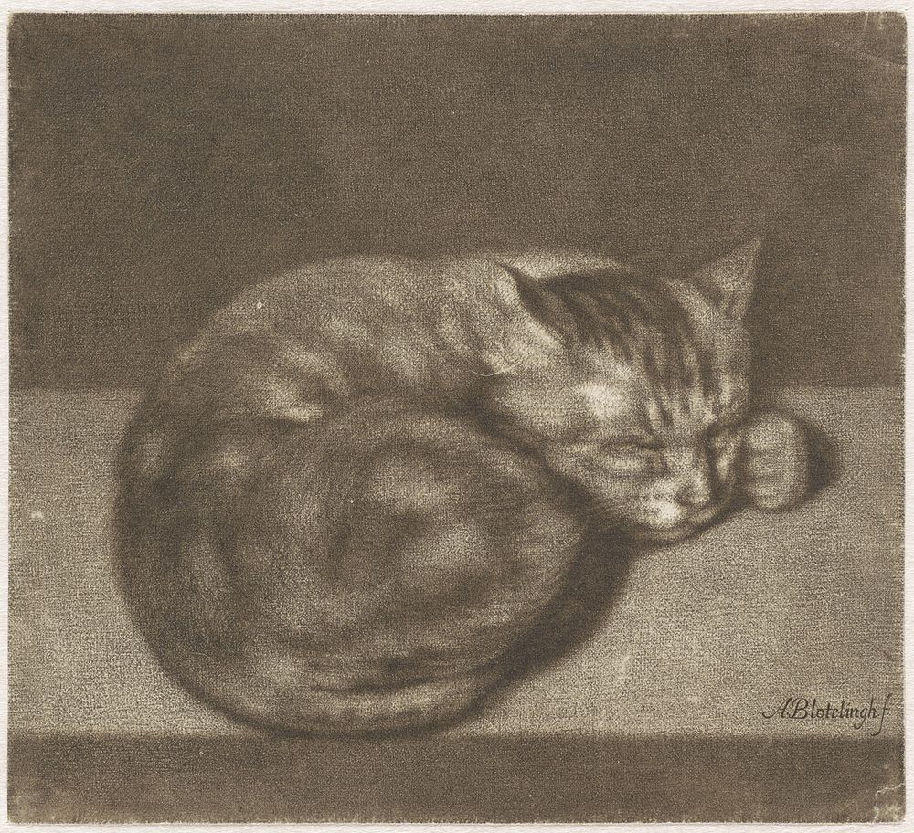 De slapende kat (1675 - | Free Photo Illustration - rawpixel