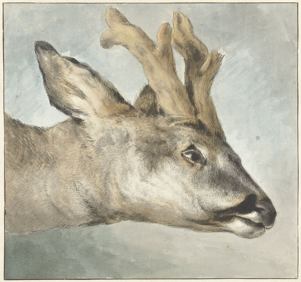 Head Roebuck (c. 1800) Wybrand | Free Photo Illustration - rawpixel