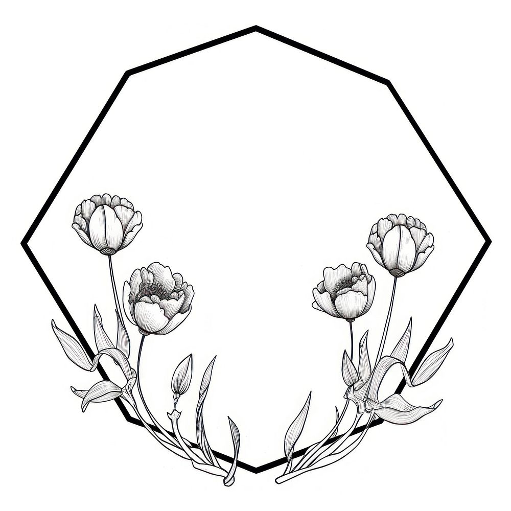 Hexagon drawing sketch shape. | Premium Photo Illustration - rawpixel