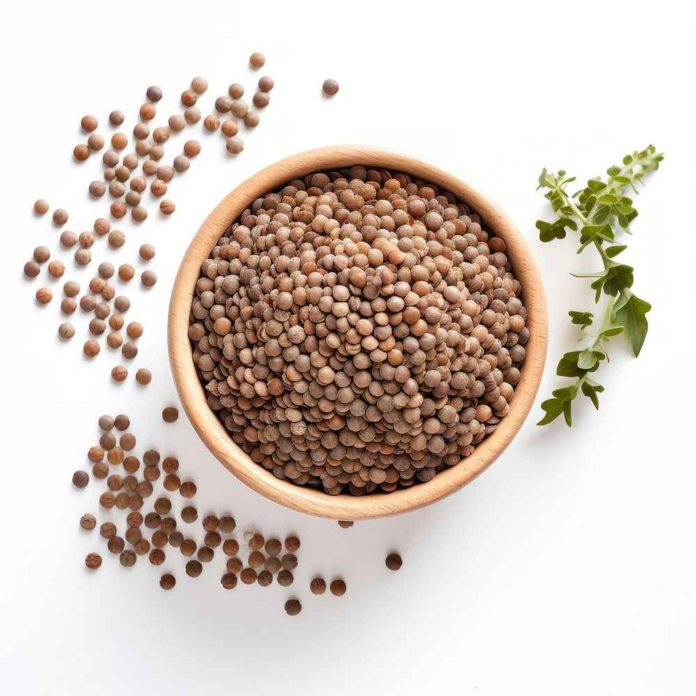 Lentils seeds vegetable lentil plant. | Premium Photo - rawpixel