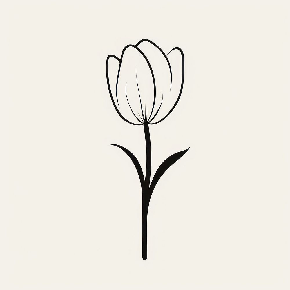 Drawing tulip flower sketch plant. | Free Photo Illustration - rawpixel