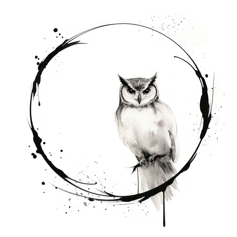 Stroke outline owl frame drawing | Premium Photo Illustration - rawpixel
