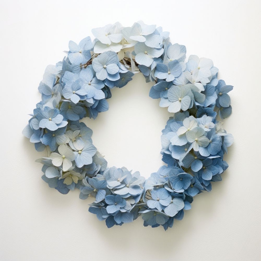 Real pressed faded blue Hydrangea | Premium Photo - rawpixel