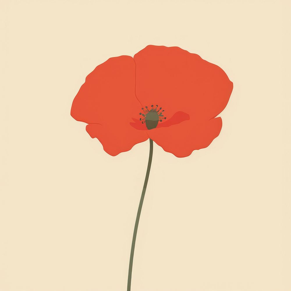 Illustration simple poppy flower petal | Premium Photo Illustration ...