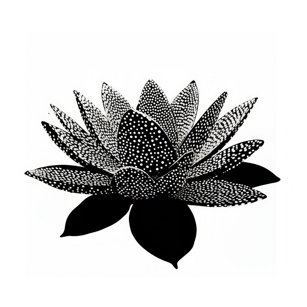 Water lily pattern drawing flower. | Free Photo Illustration - rawpixel