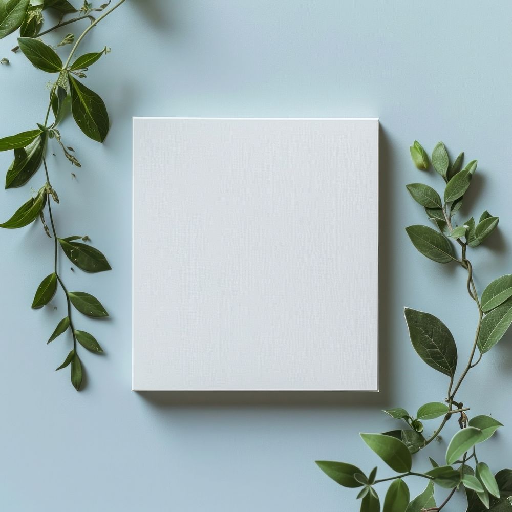 Album cover plant leaf blackboard. | Premium Photo - rawpixel