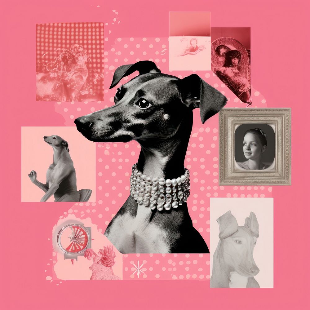 Abstract dog collage art animal | Premium Photo Illustration - rawpixel