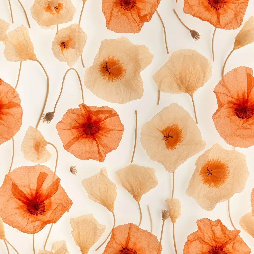 Real Pressed poppy pattern flower | Premium Photo - rawpixel