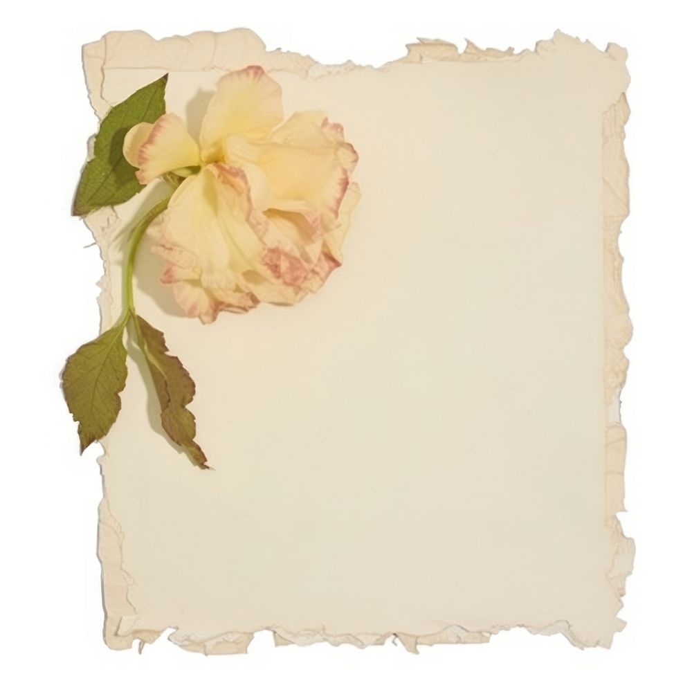 Flower ripped paper petal plant | Premium Photo - rawpixel