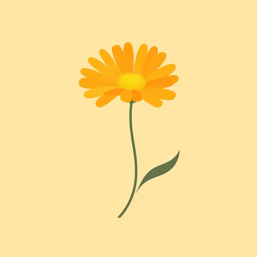 Calendula cartoon flower petal. | Free Photo Illustration - rawpixel