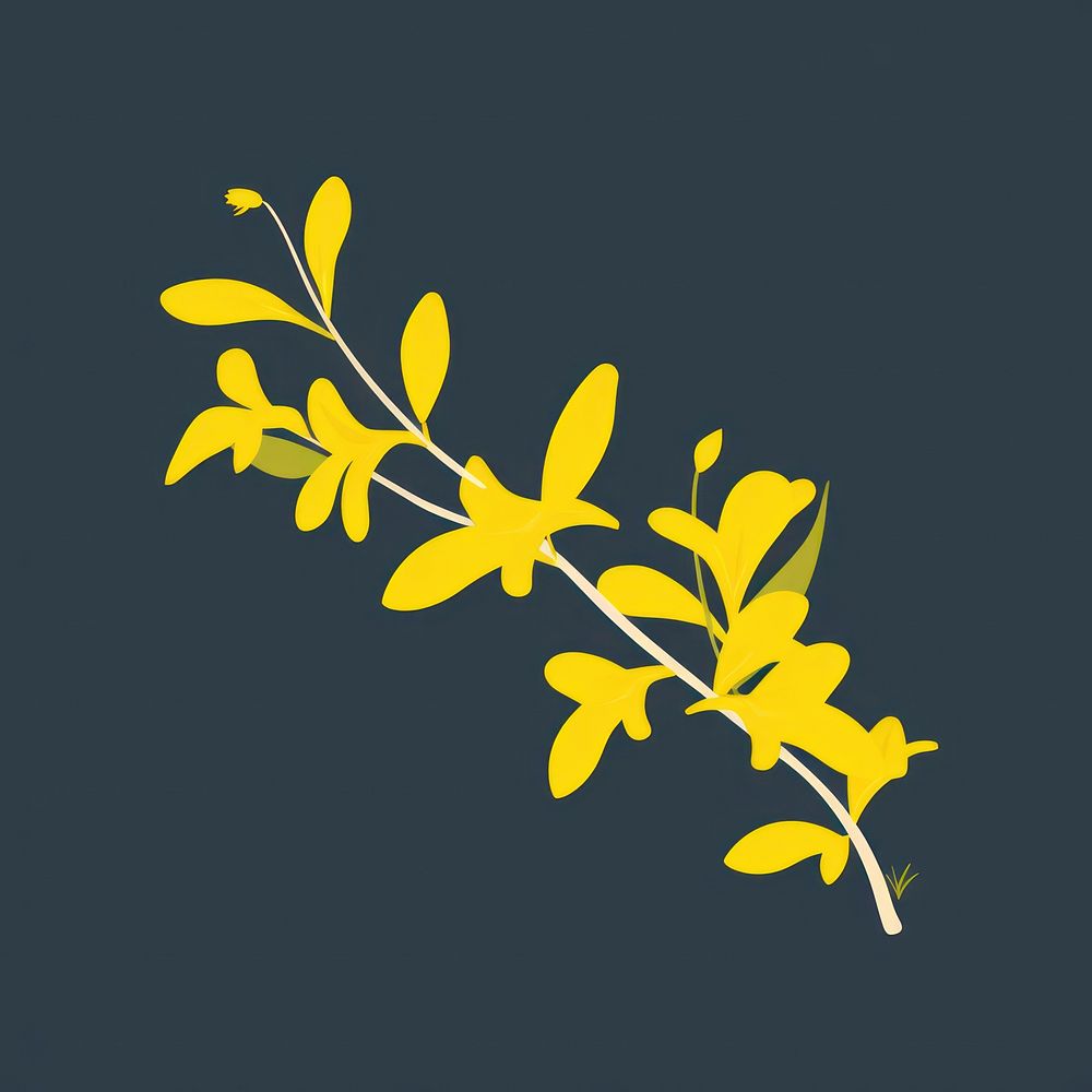 Forsythia graphics plant leaf. | Free Photo Illustration - rawpixel