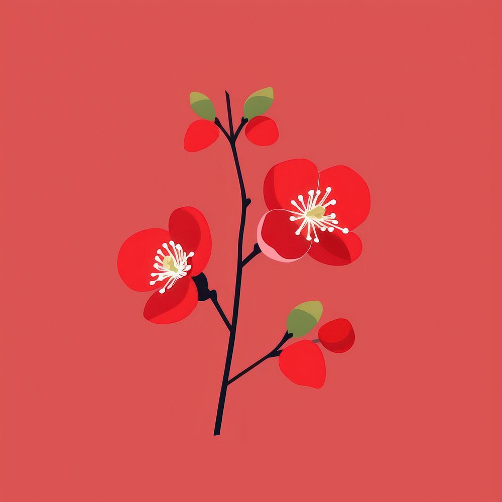 Flowering quince graphics blossom plant. | Free Photo Illustration ...