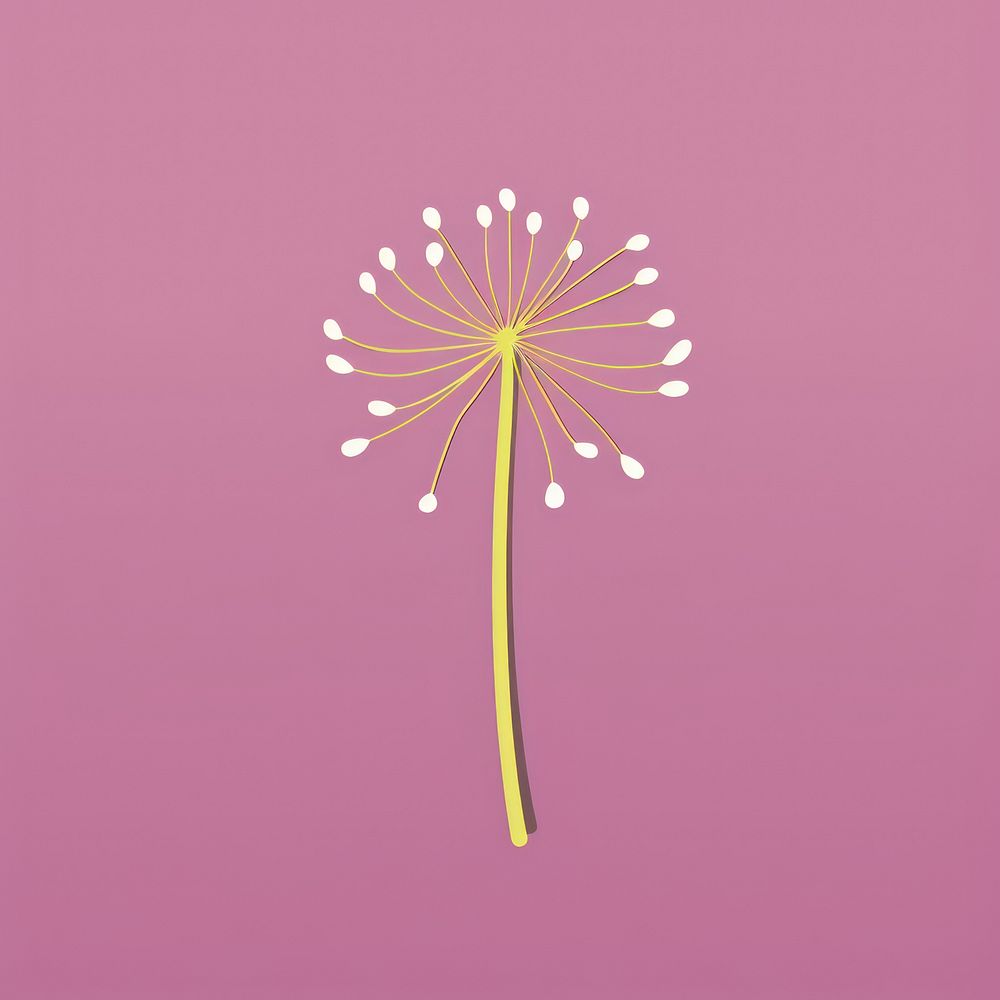 Allium dandelion flower plant. | Free Photo Illustration - rawpixel