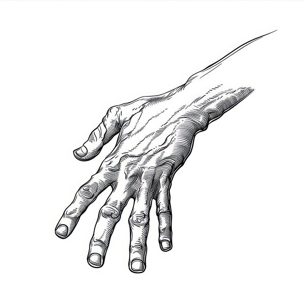 Hand drawing sketch line. | Free Photo Illustration - rawpixel