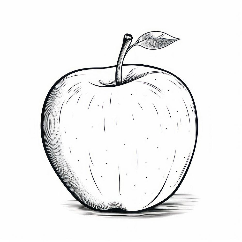 Apple outline sketch drawing fruit | Premium Photo Illustration - rawpixel