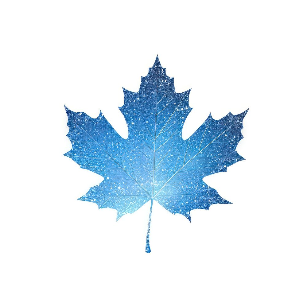 Blue Maple leaf icon maple | Free Photo Illustration - rawpixel