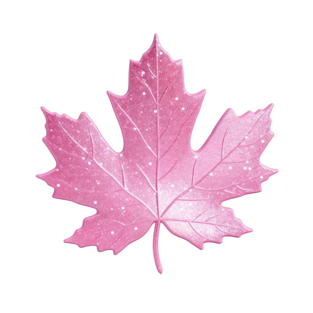 Pink Maple leaf icon maple | Free Photo Illustration - rawpixel