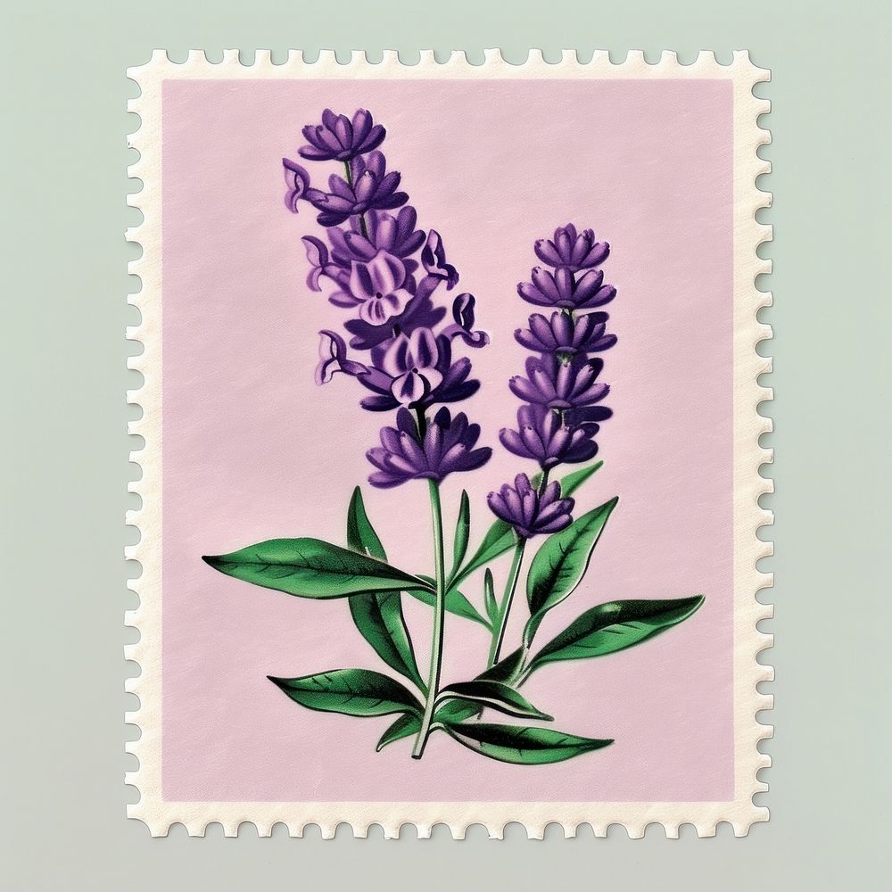 Lavender flower Risograph style lavender | Premium Photo Illustration - rawpixel