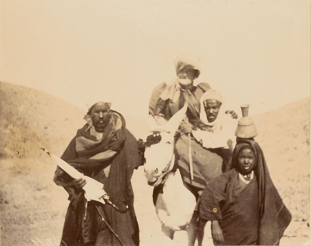 Men with woman riding mule | Free Photo - rawpixel