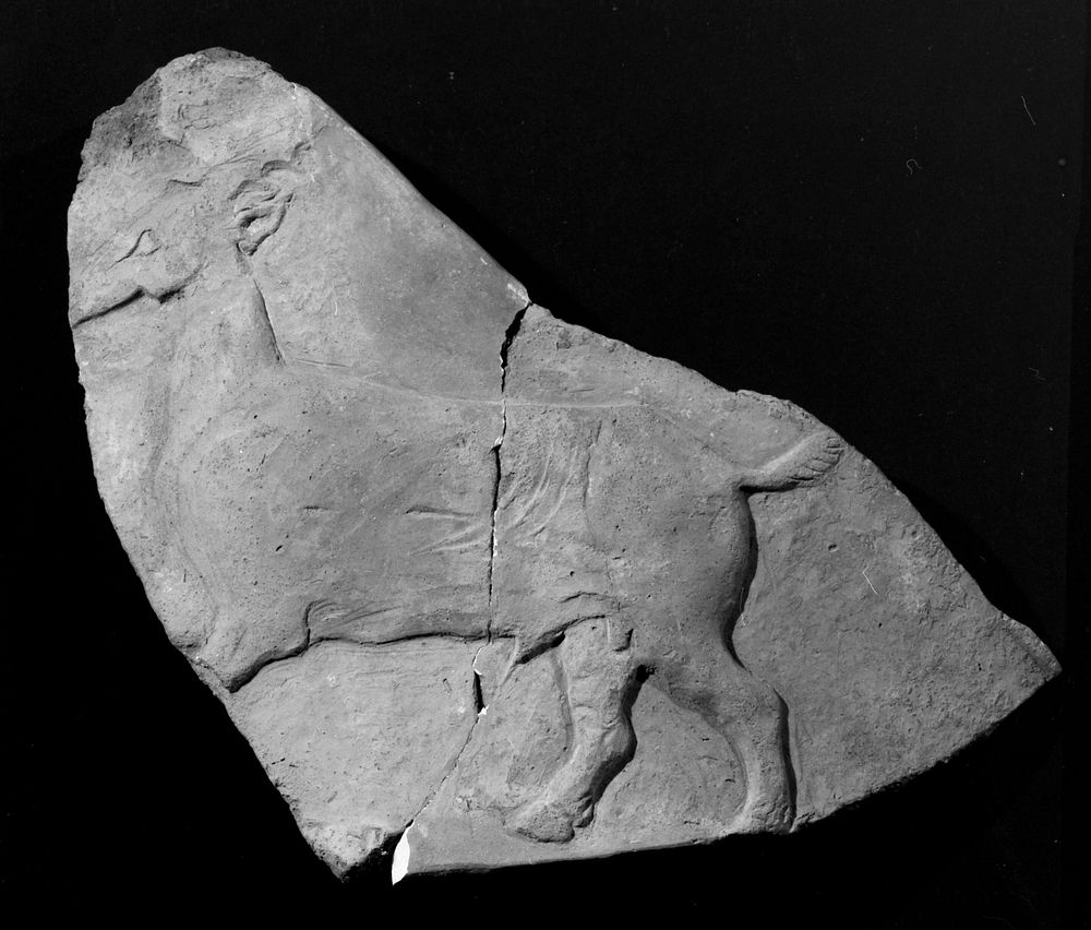 Body Fragment Relief Pithos | Free Photo - rawpixel