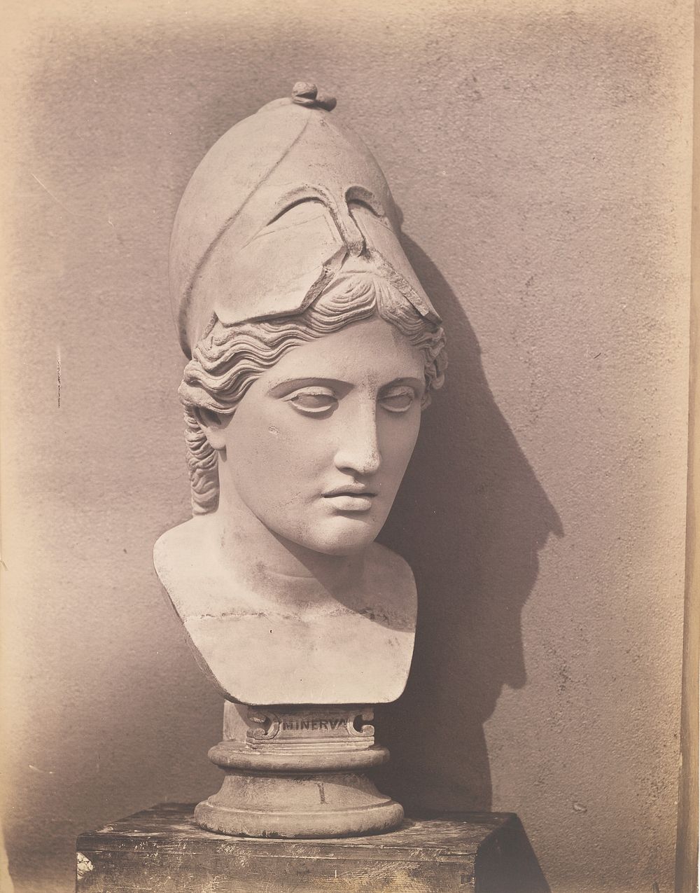 Head Minerva [7/8 view] Roger | Free Photo - rawpixel