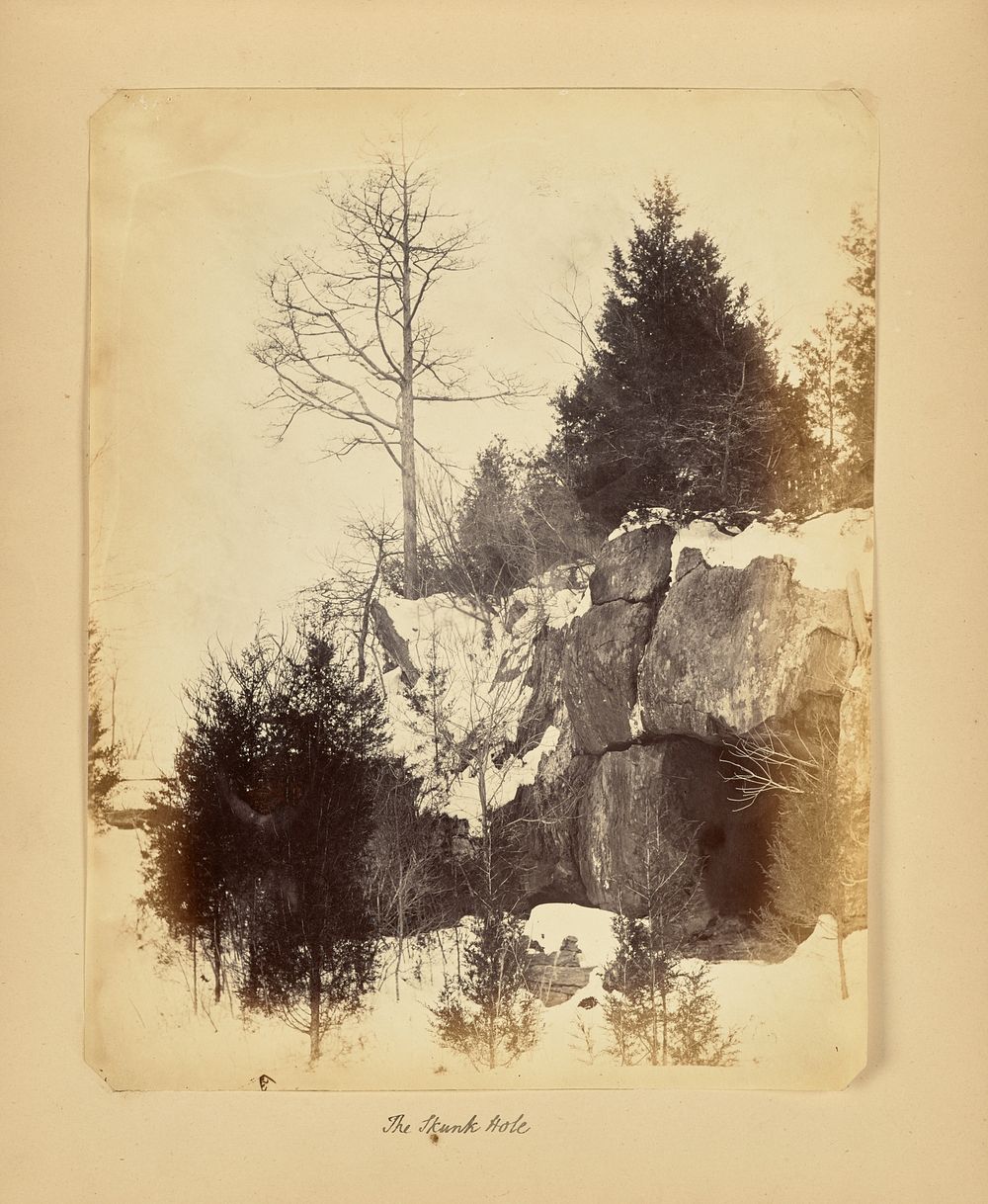 Skunk Hole Alfred Booth and | Free Photo Illustration - rawpixel