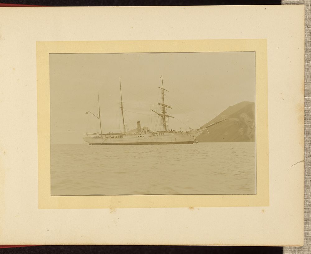 Revenue Cutter Bear | Free Photo Illustration - rawpixel