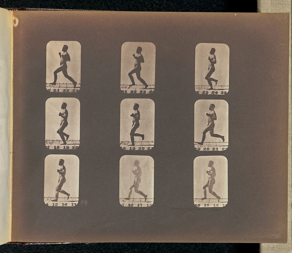 Running by Eadweard J Muybridge | Free Photo - rawpixel