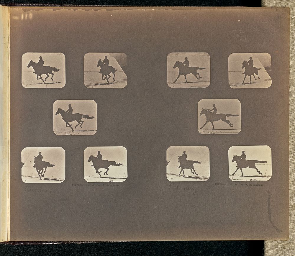 Running by Eadweard J Muybridge | Free Photo - rawpixel