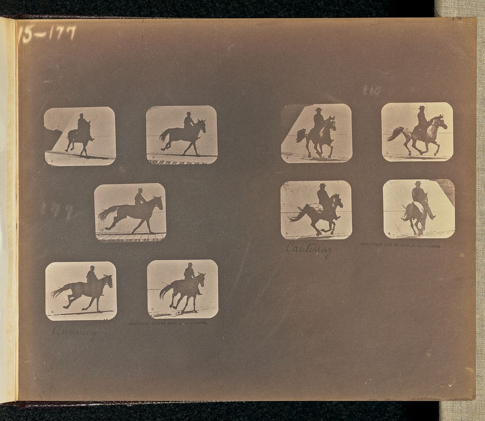 Running. Cantering Eadweard J Muybridge | Free Photo - rawpixel
