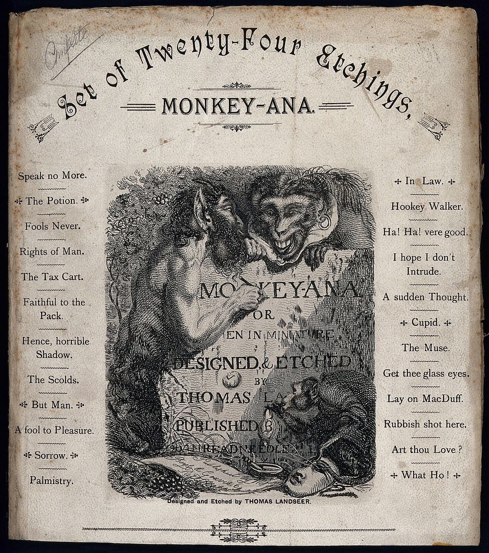 monkey human dress is leaning | Free Photo Illustration - rawpixel