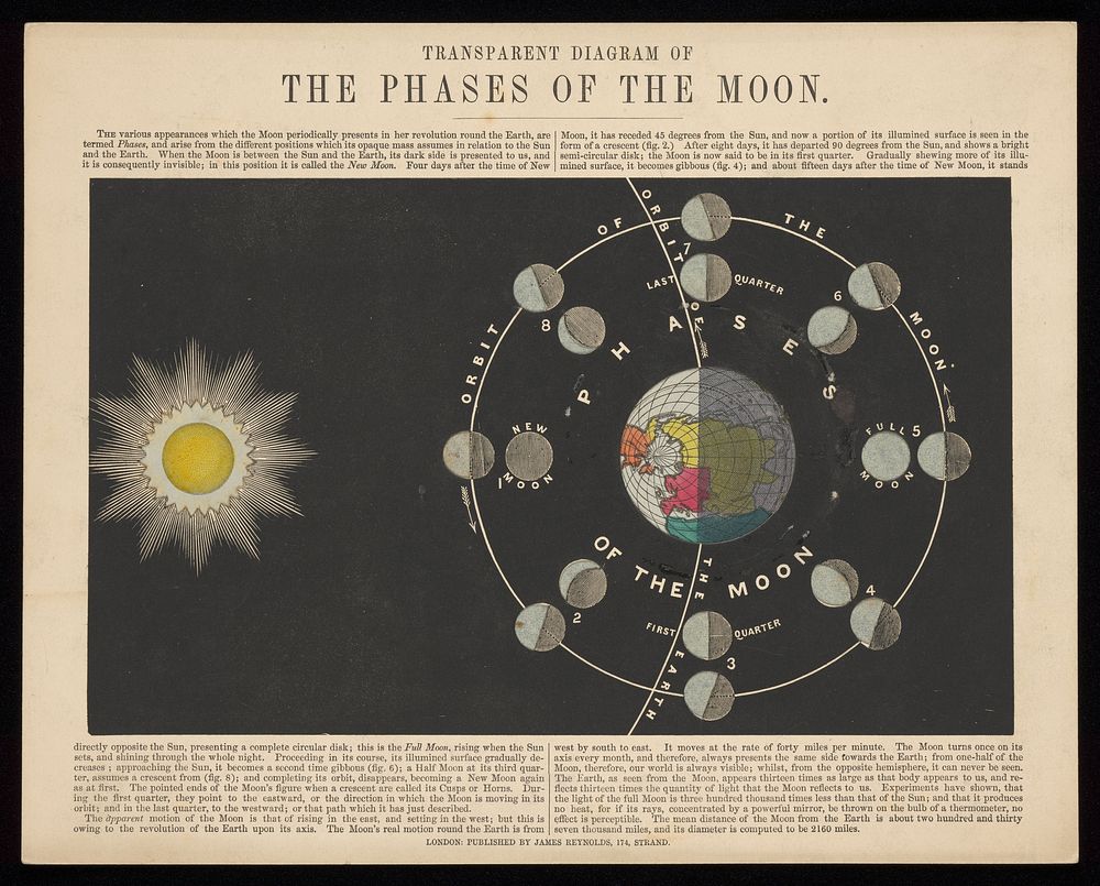 Astronomy: phases Moon. Coloured engraving | Free Photo Illustration ...