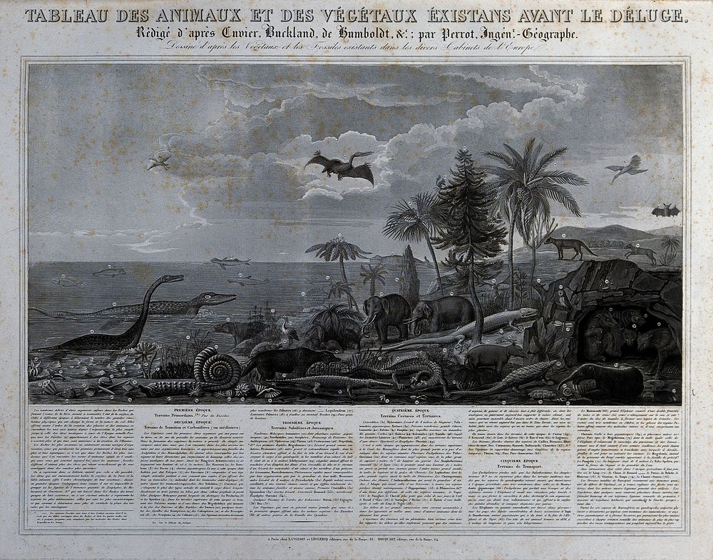 Antediluvian creatures, primaeval landscape. Mixed | Free Photo ...