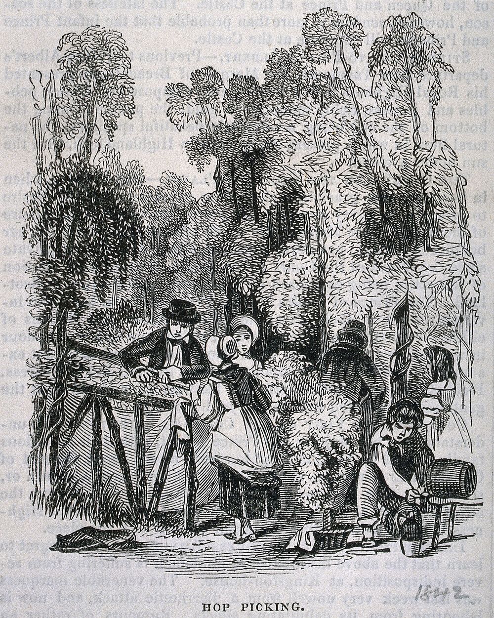 Hop pickers work. Wood-engraving, c. | Free Photo Illustration - rawpixel